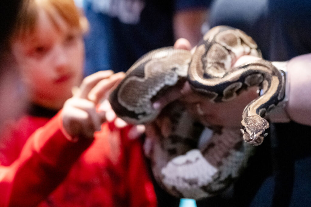 Animal Encounters - Discovery World