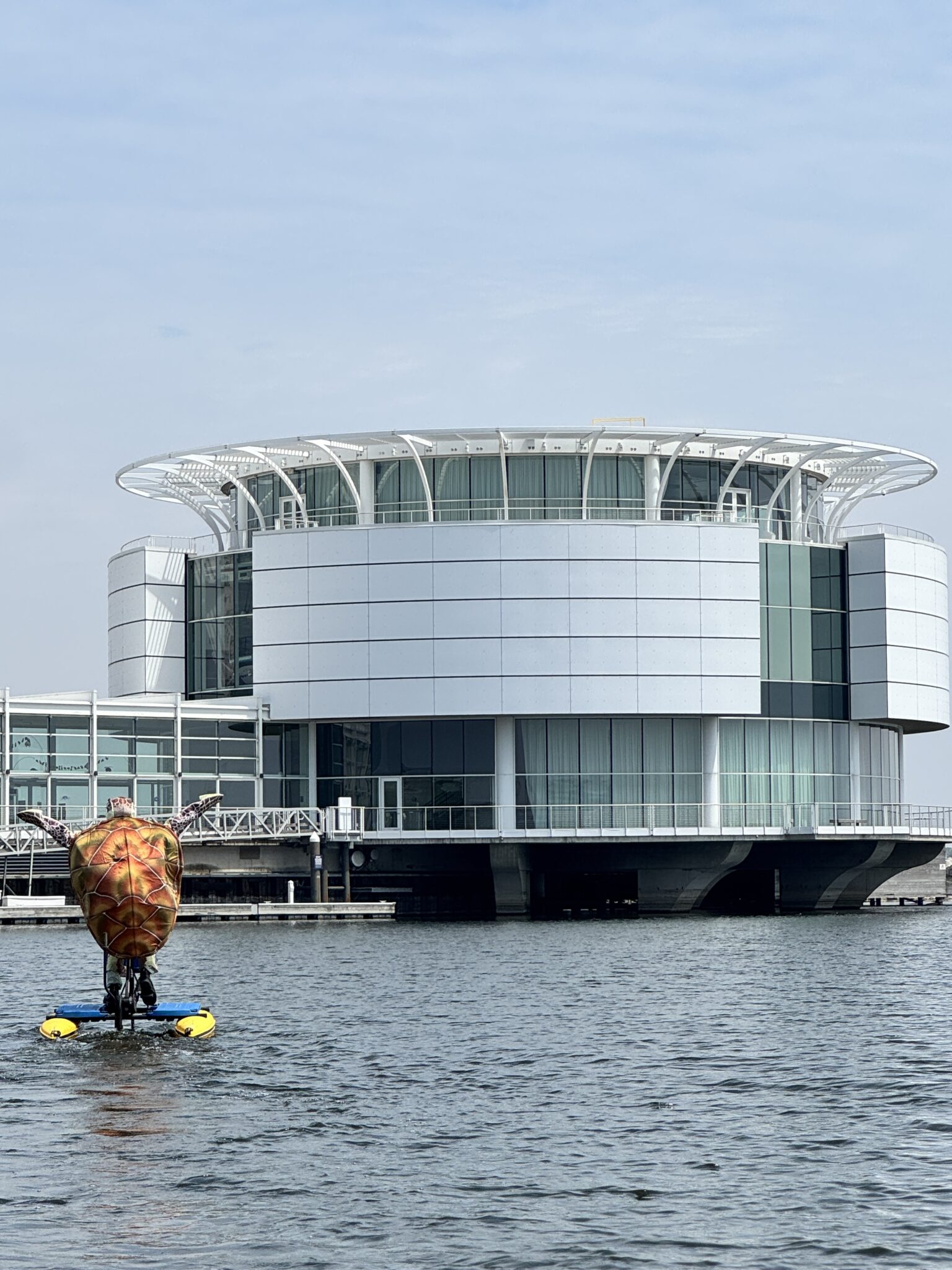 Jobs Internships Discovery World
